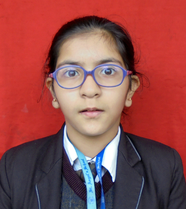 Best School in Rohini, Top School in Rohini, Top CBSE School Rohini- St ...